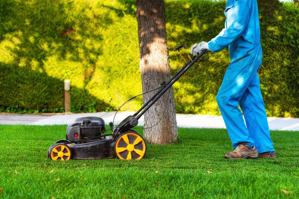 Weekly Vs Bi Weekly Mowing Services Lawn Care Frank